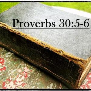 Your Daily Proverb – Proverbs 30:5-6 - The.Radical.Man